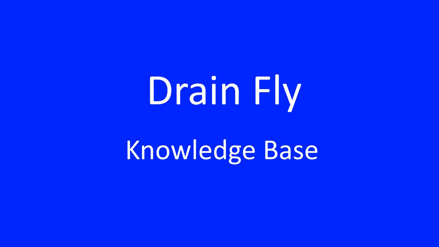 Drain Fly Knowledge Base - Drain Flies
